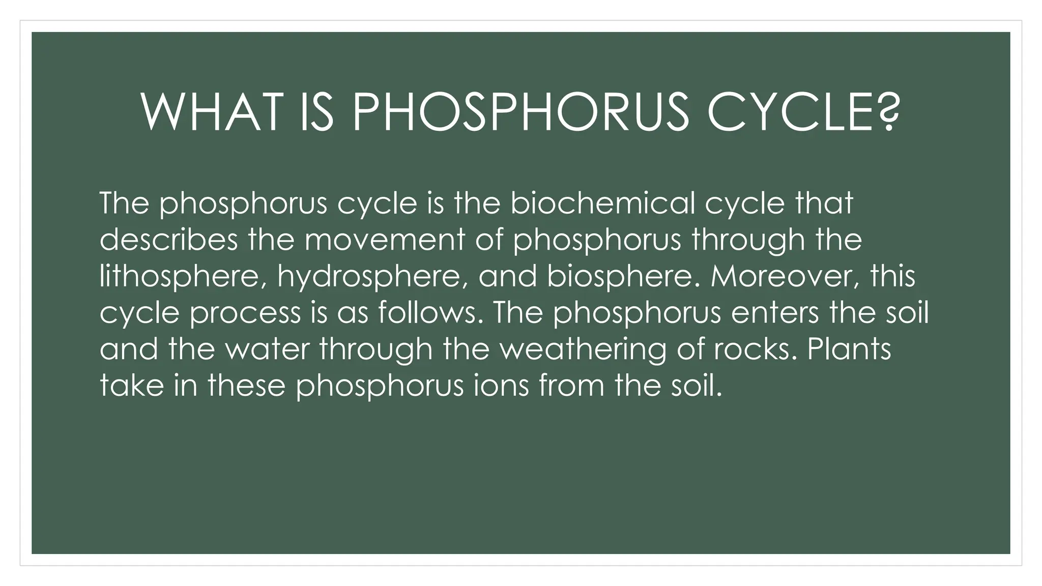Phosphorus-cycleeeeeeeeeeeeeeeeeeeee.pdf | Agriculture | Industries