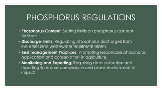 Phosphorus-cycleeeeeeeeeeeeeeeeeeeee.pdf