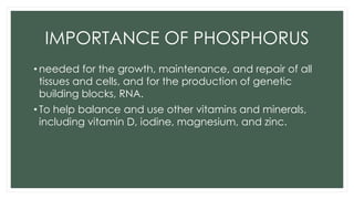 Phosphorus-cycleeeeeeeeeeeeeeeeeeeee.pdf | Agriculture | Industries