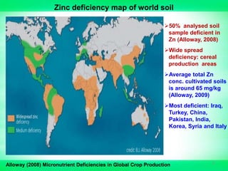 Phosphorus zinc interaction | PPTX