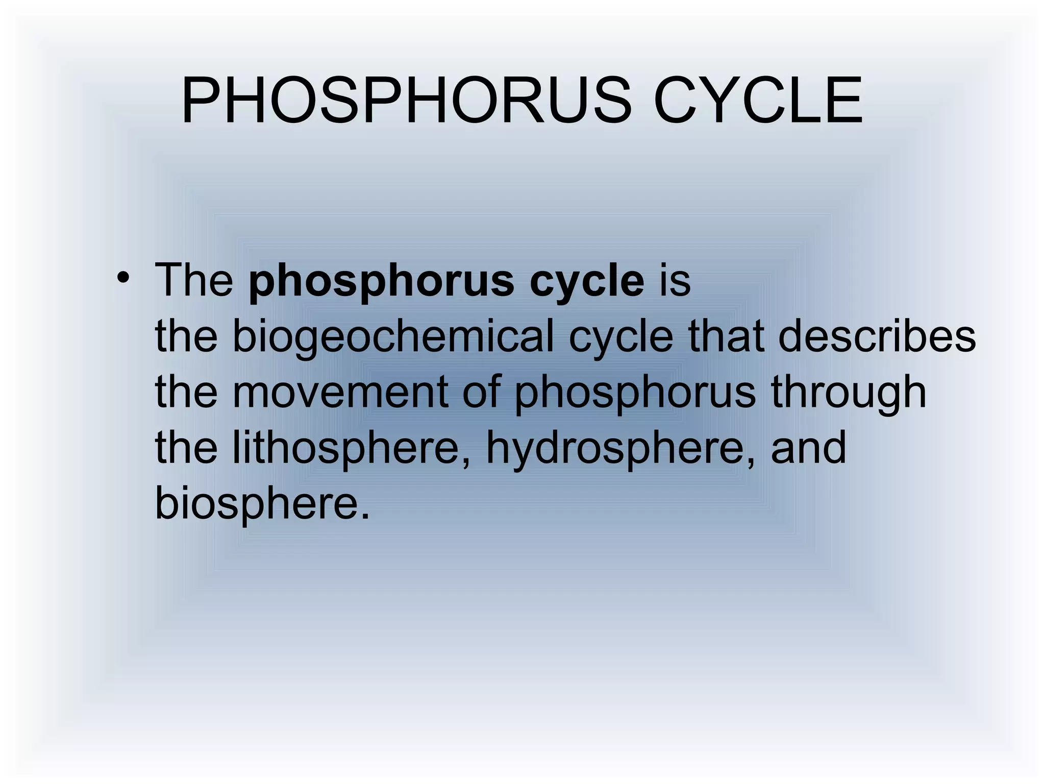 Phosphorus cycle | PPT