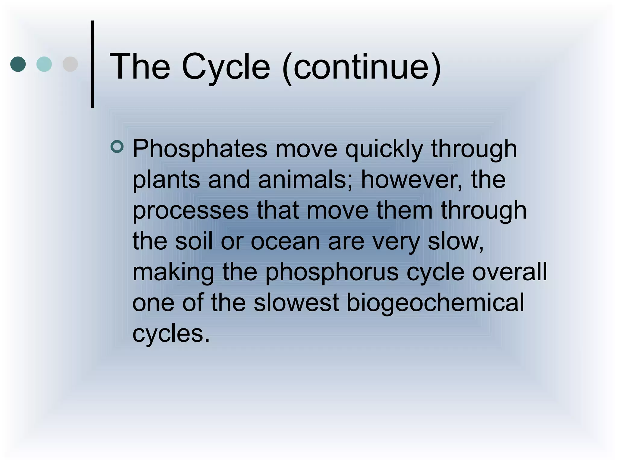 Phosphorus cycle by Muhammad Fahad Ansari 12IEEM14 | PPT