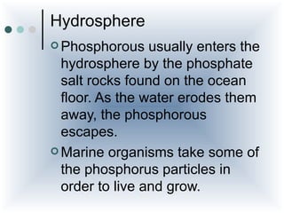 Phosphorus cycle by Muhammad Fahad Ansari 12IEEM14 | PPT