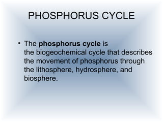 Phosphorus cycle by Muhammad Fahad Ansari 12IEEM14 | PPT