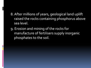 Phosphorus cycle | PPT