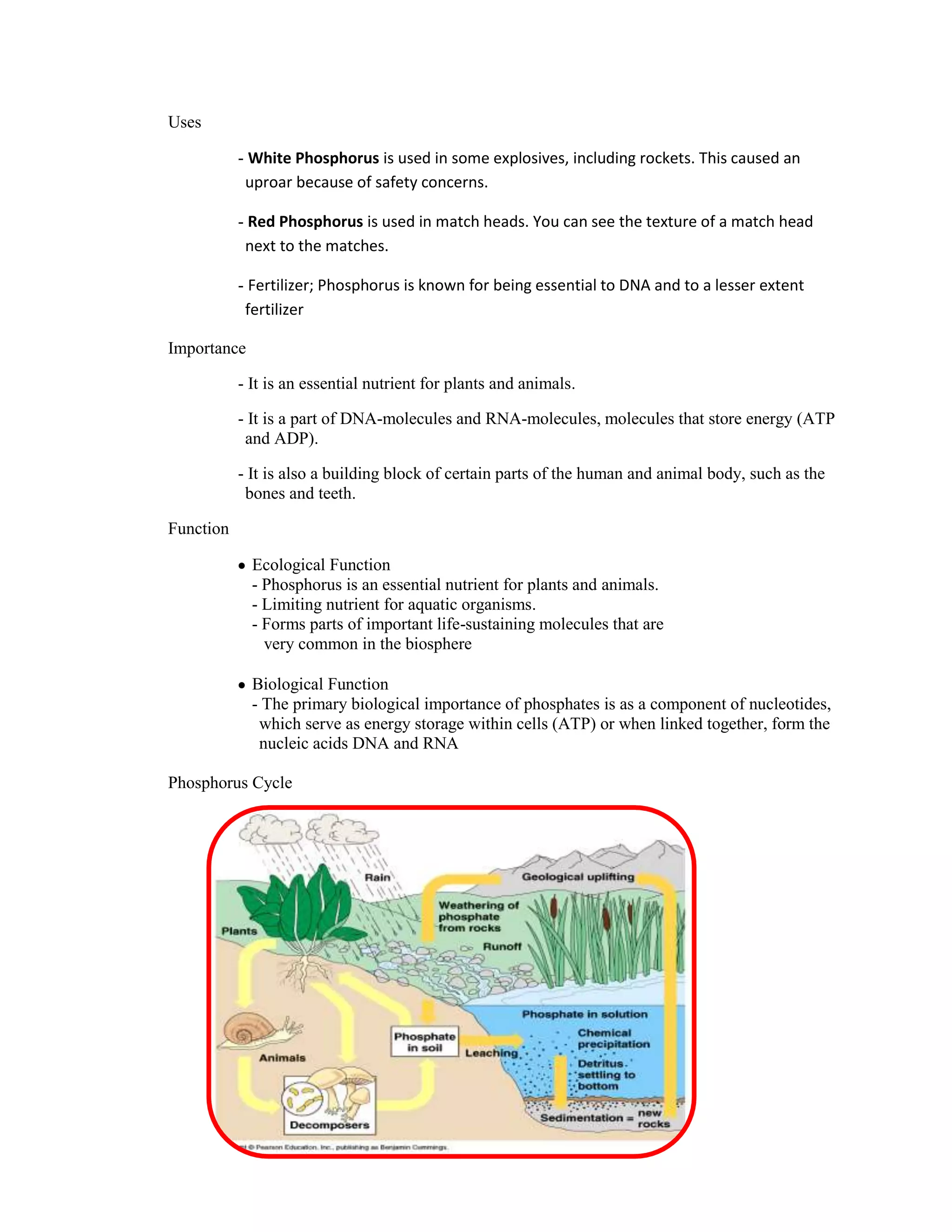 Phosphorus cycle | DOCX