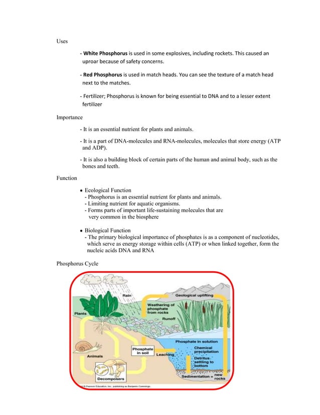 Phosphorus cycle | PDF
