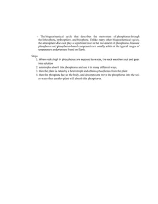 Phosphorus cycle | DOCX