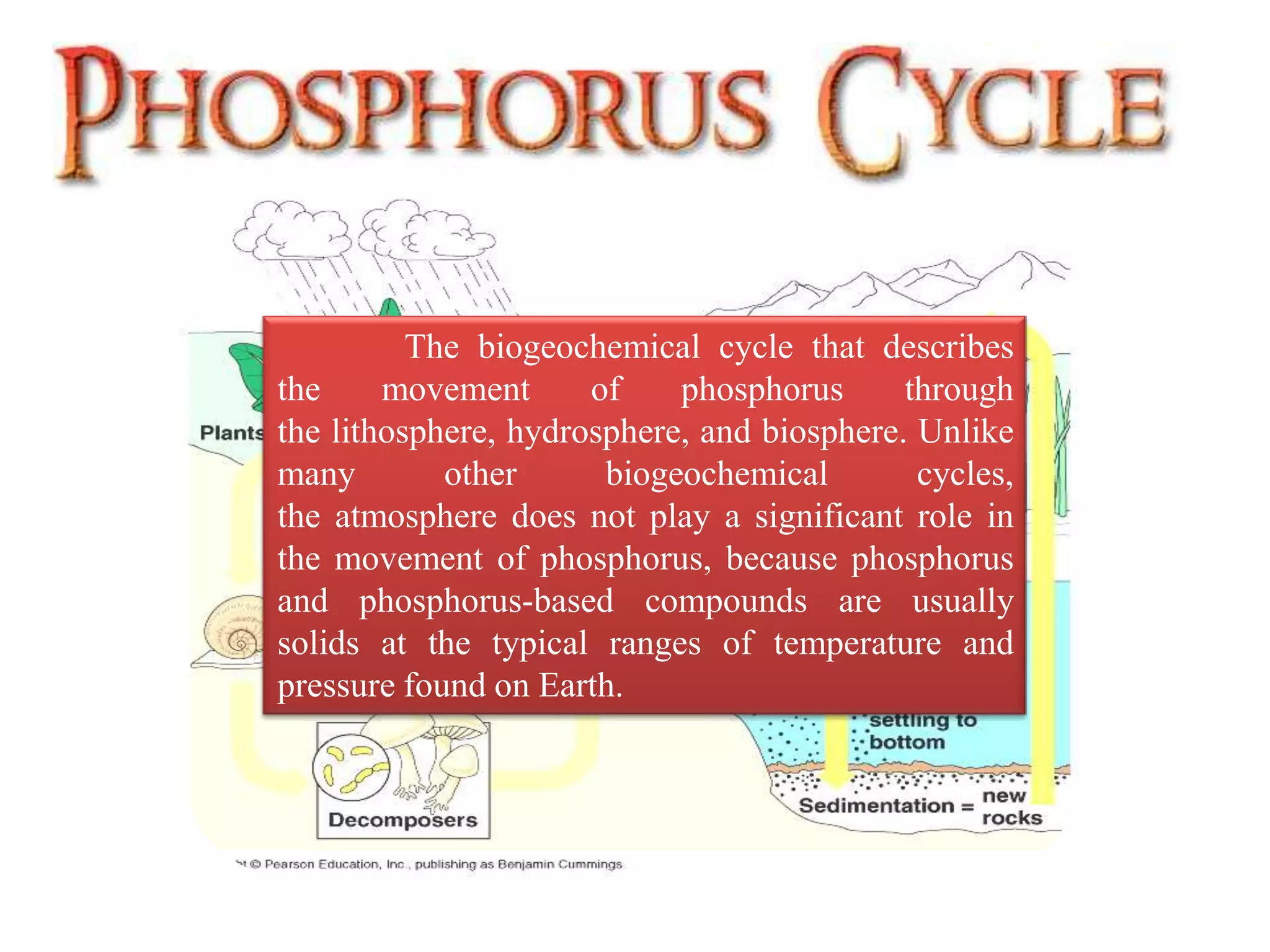Phosphorus cycle | PPTX