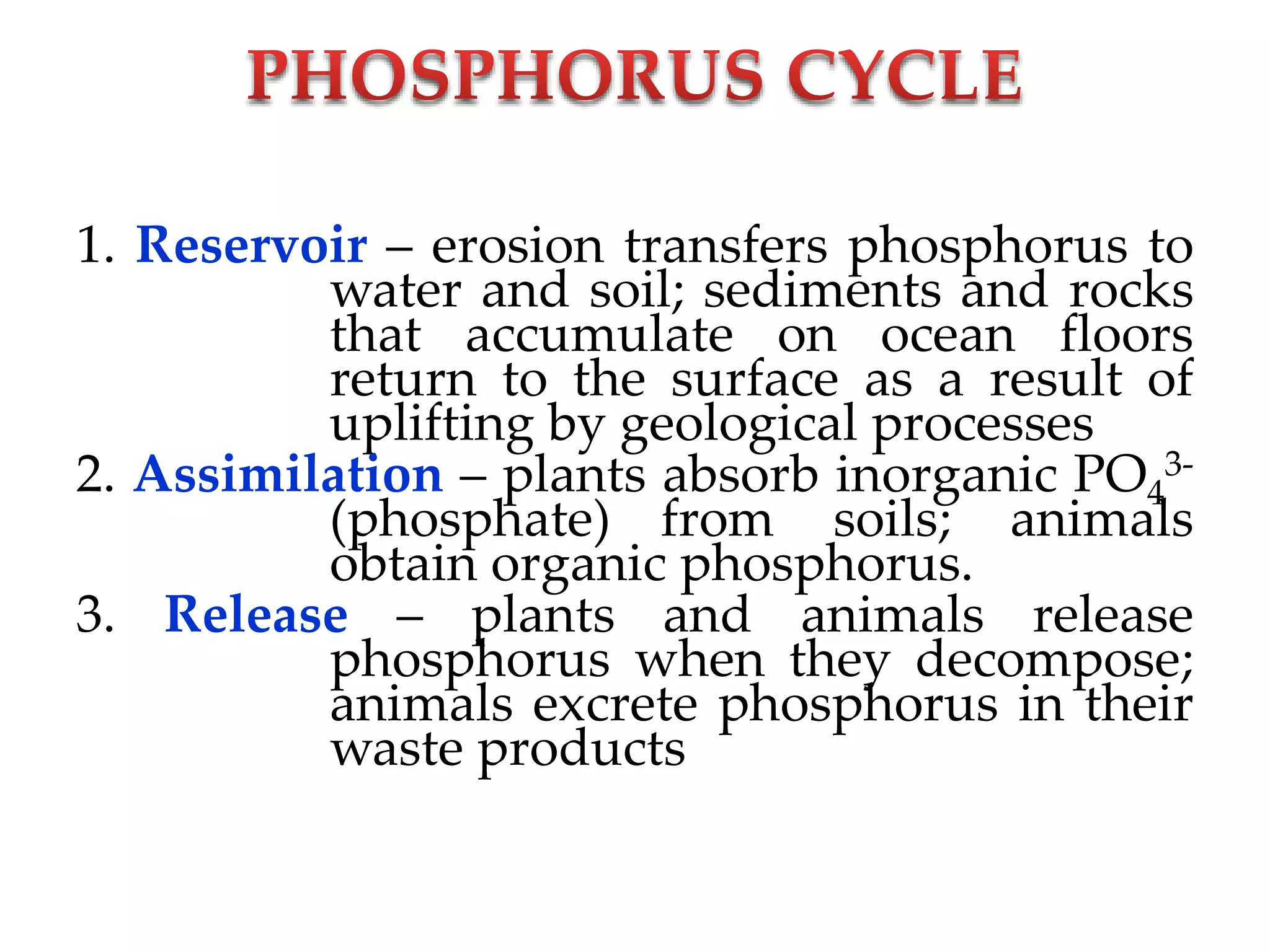 Phosphorus cycle | PPTX