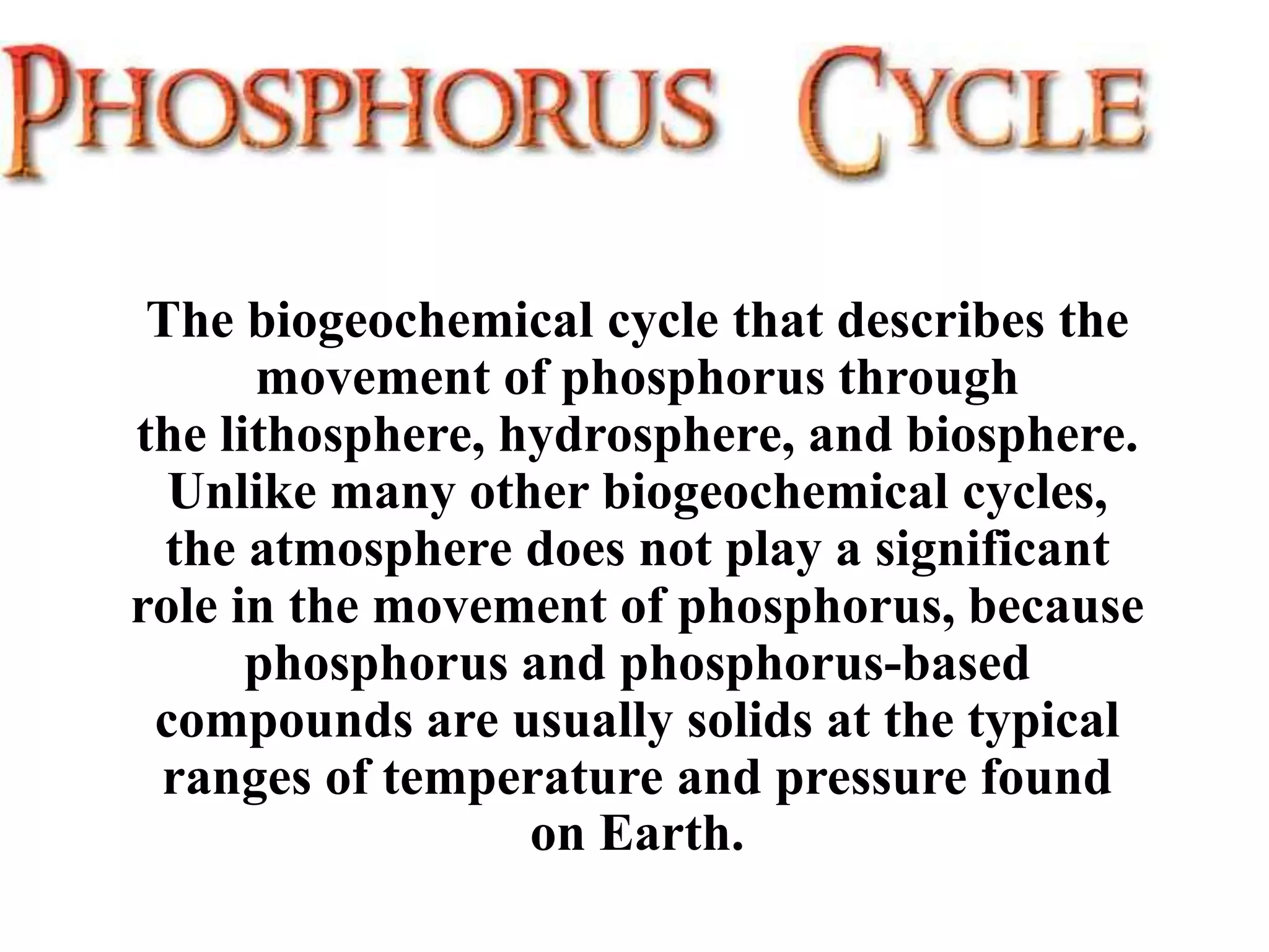 Phosphorus cycle | PPTX