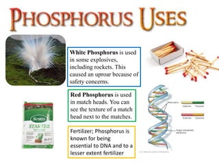 Phosphorus Uses