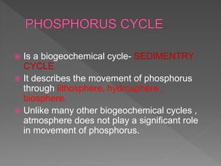 Phosphorus cycle | PPTX