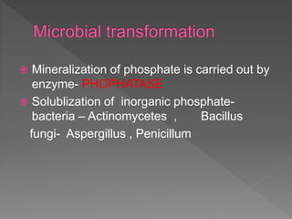 Phosphorus cycle | PPT