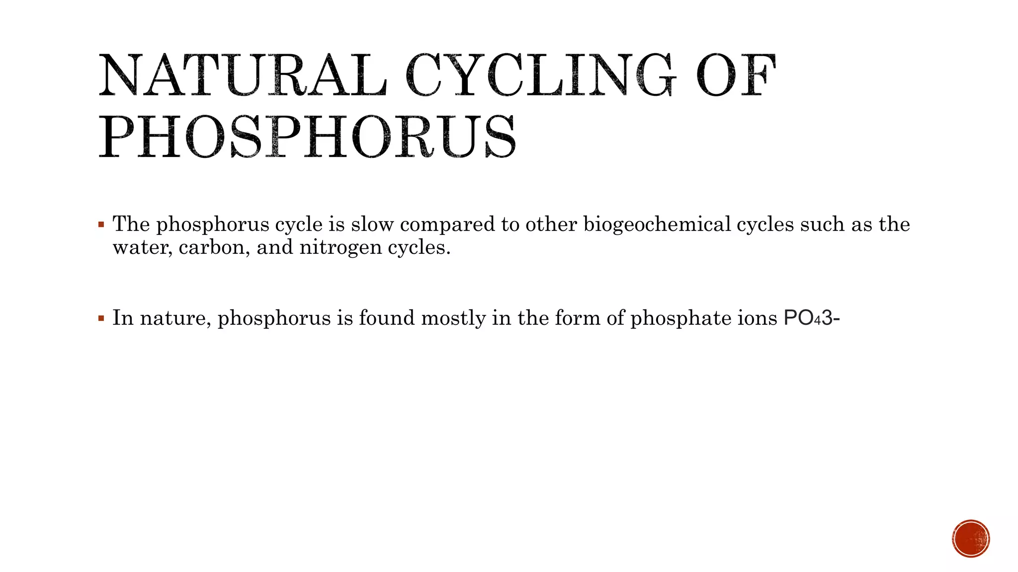Phosphorus cycle Detailed | PPTX