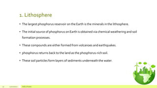 Phosphorus cycle | PPTX