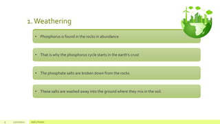 Phosphorus cycle | PPTX