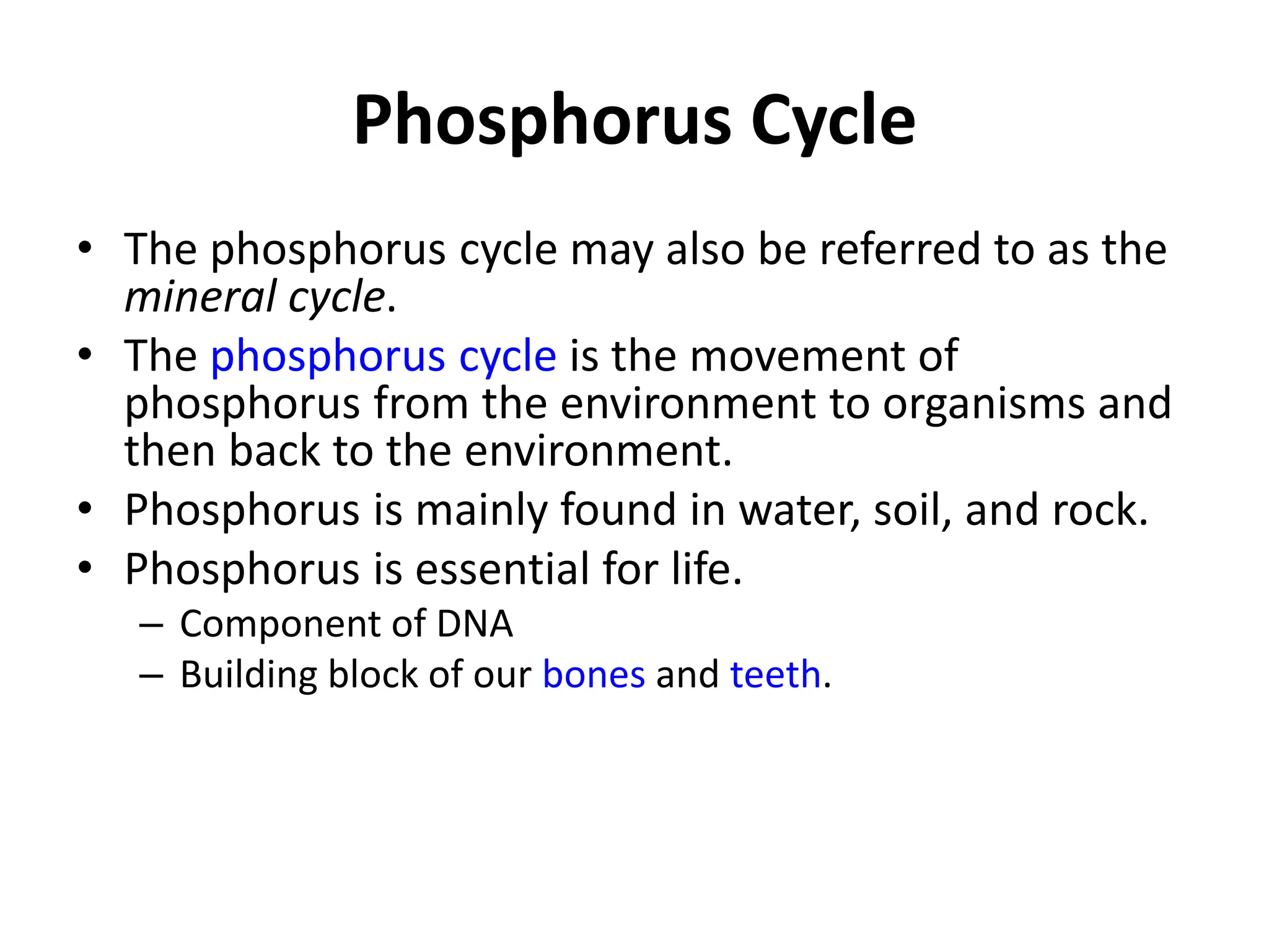 phosphorous cycle explained power point. | PPT