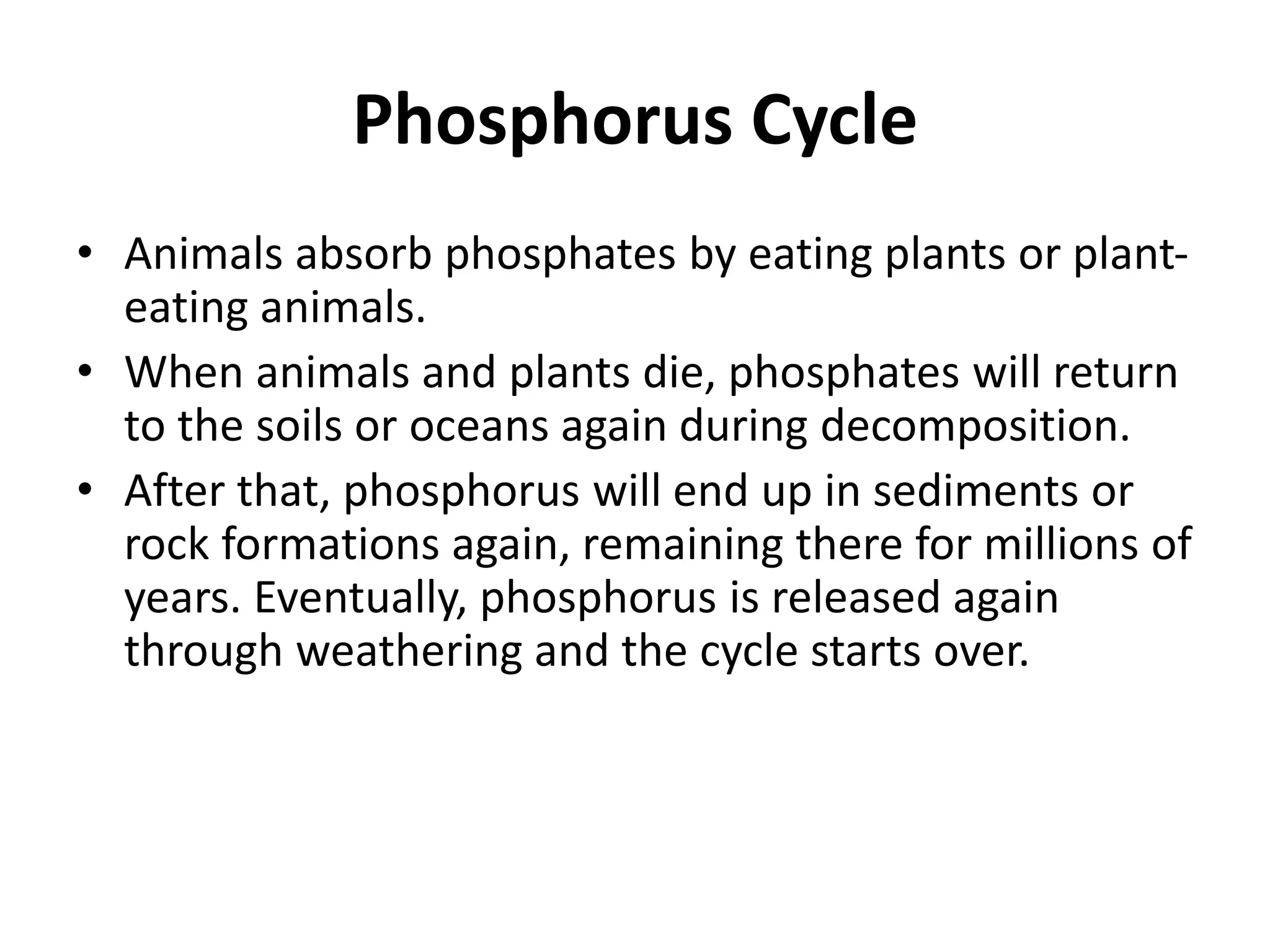 phosphorous cycle explained power point. | PPT