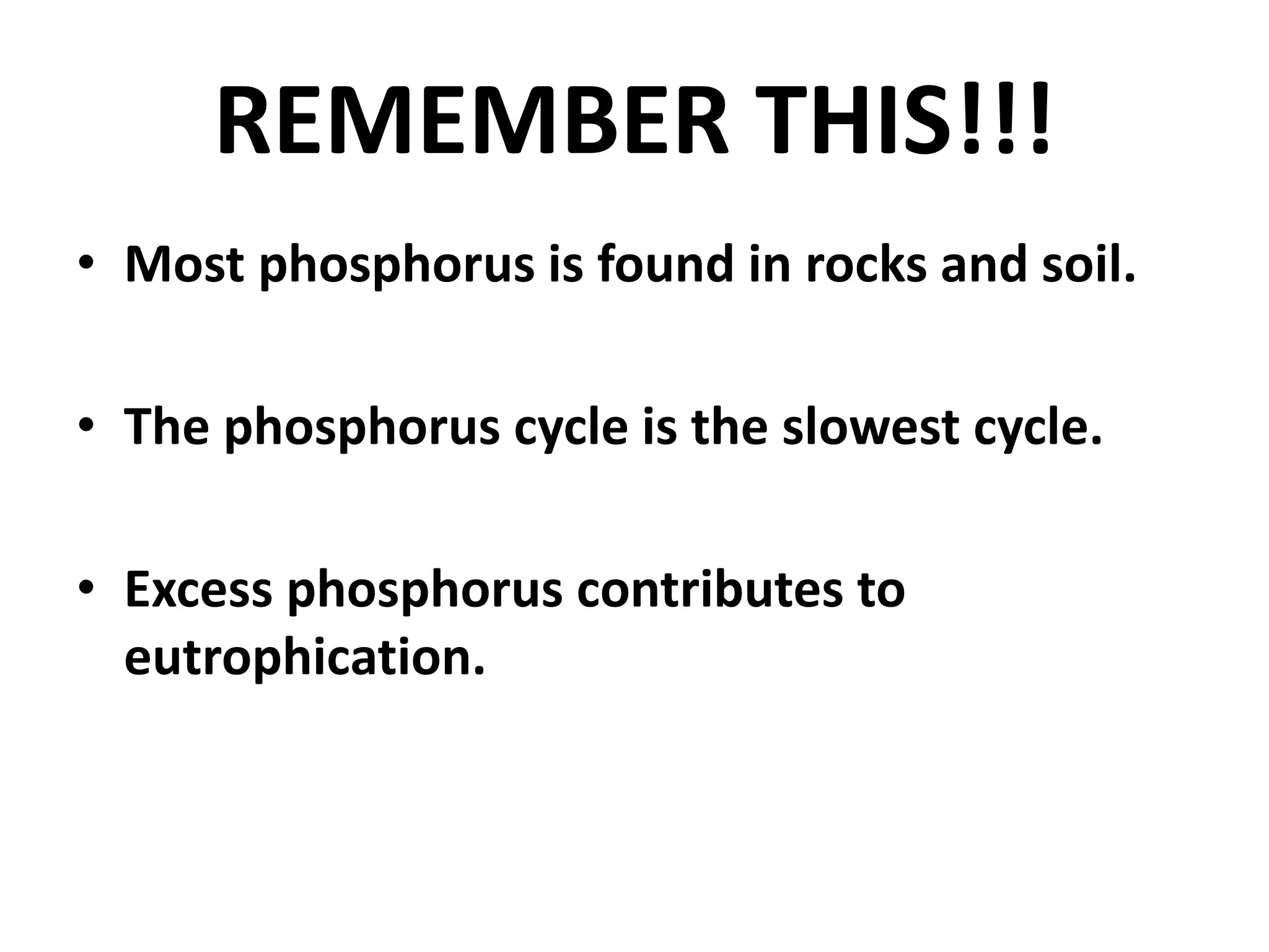 phosphorous cycle explained power point. | PPT