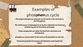 Phosphorus cycle (Food and Environmental Microbiology).pptx.pptx