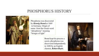 PHOSPHORUS CYCLE - Villanuevaxxxxxxx pdf. | PDF