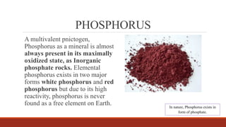 PHOSPHORUS CYCLE - Villanuevaxxxxxxx pdf. | PDF
