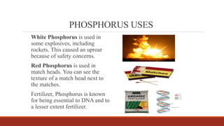 PHOSPHORUS CYCLE - Villanuevaxxxxxxx pdf. | PDF