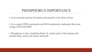 PHOSPHORUS CYCLE - Villanuevaxxxxxxx pdf. | PDF