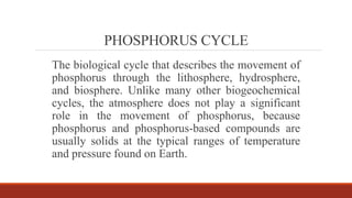 PHOSPHORUS CYCLE - Villanuevaxxxxxxx pdf. | PDF
