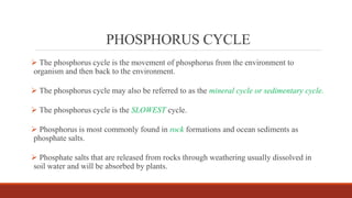 PHOSPHORUS CYCLE - Villanuevaxxxxxxx pdf. | PDF