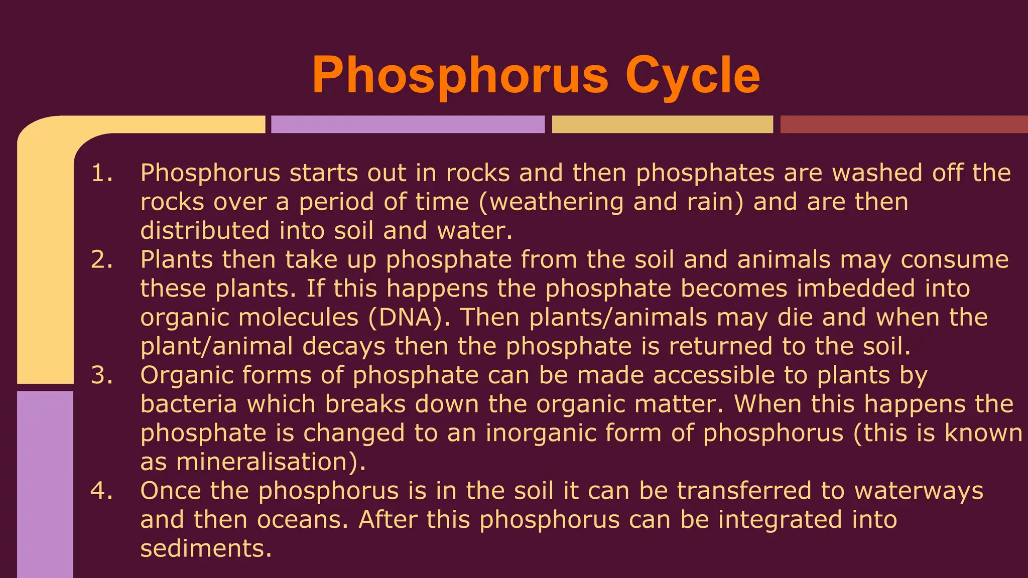 Phosphorus Cycle that involves the movement of phosphorus through the ...