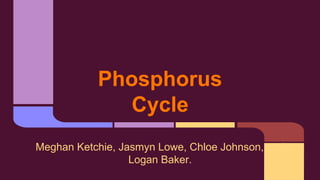 Phosphorus Cycle that involves the movement of phosphorus through the ...
