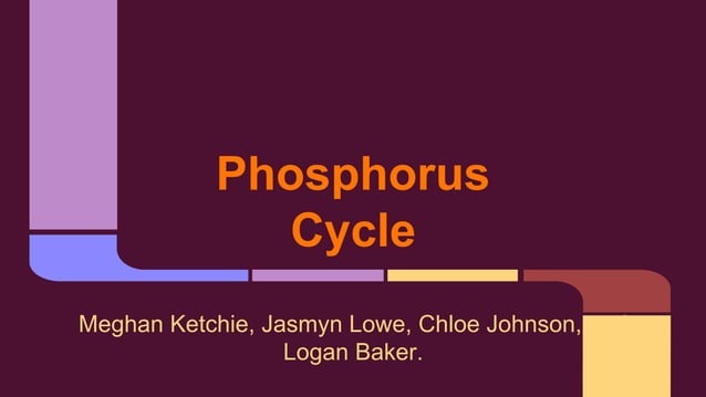 Phosphorus Cycle that involves the movement of phosphorus through the ...