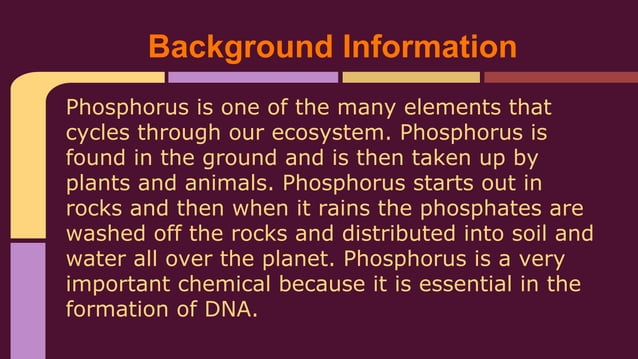 Phosphorus Cycle that involves the movement of phosphorus through the ...