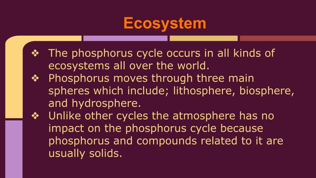 Phosphorus Cycle that involves the movement of phosphorus through the ...