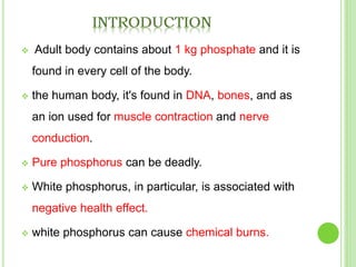 Phosphorus Uses In The Body