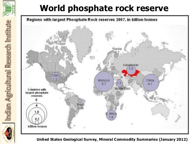 Phosphorus flagship for stewardship