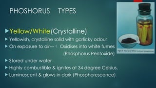 Phosphorus NON metalic Irritant.pptx...... | PPTX
