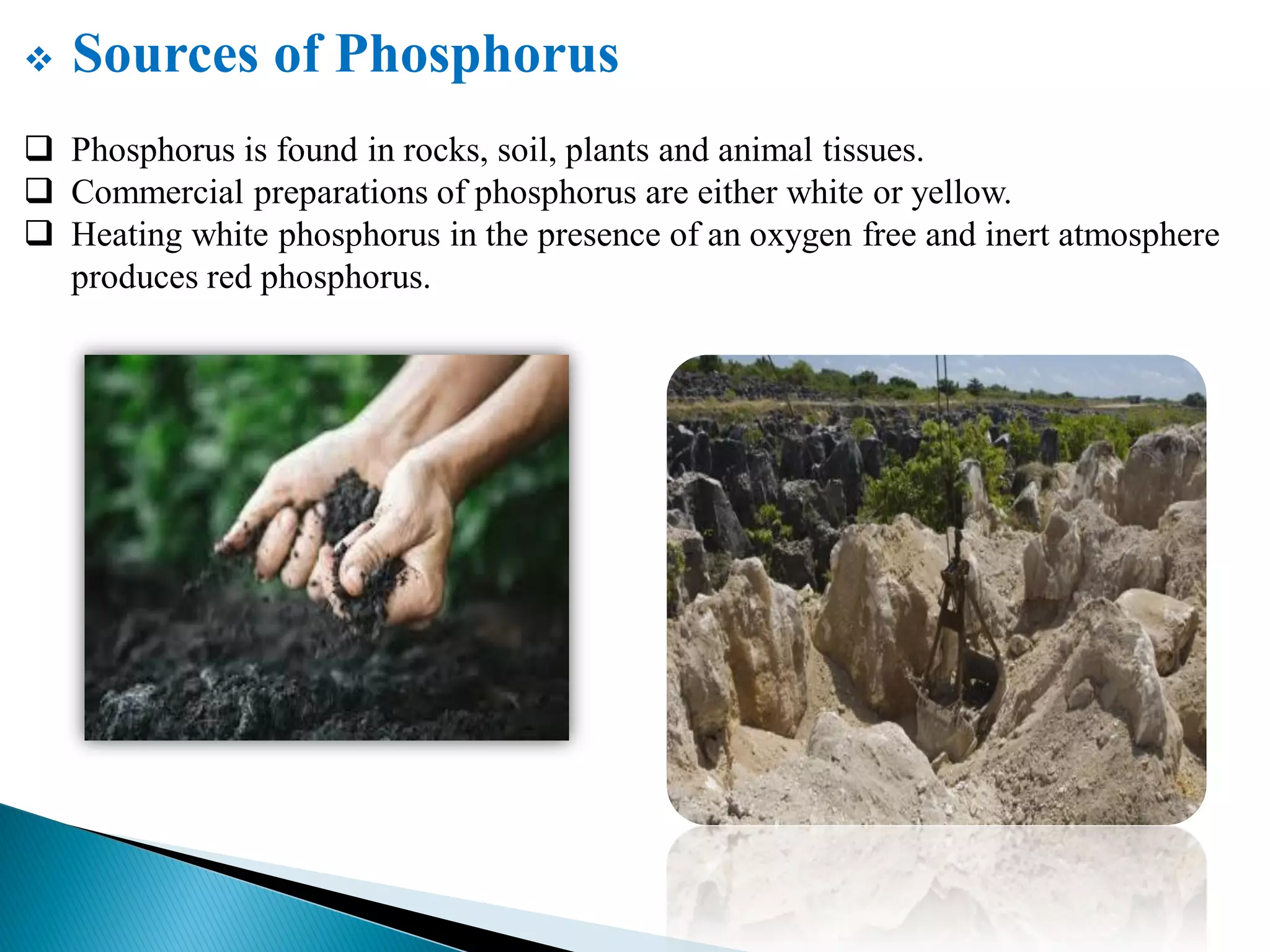 Phosphorus poisoning | PDF