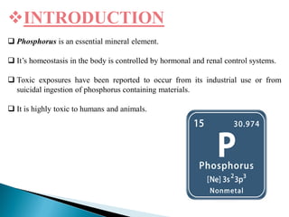 Phosphorus Uses In The Human Body