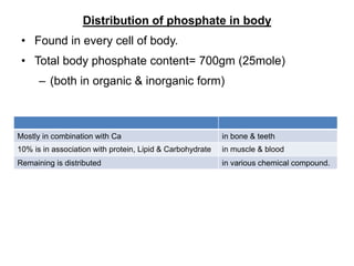 Phosphorus practical | PPTX