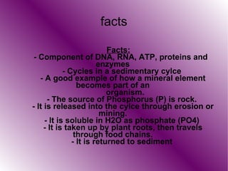 Phosphorus Project | PPT