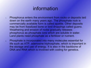 Phosphorus Project | PPT