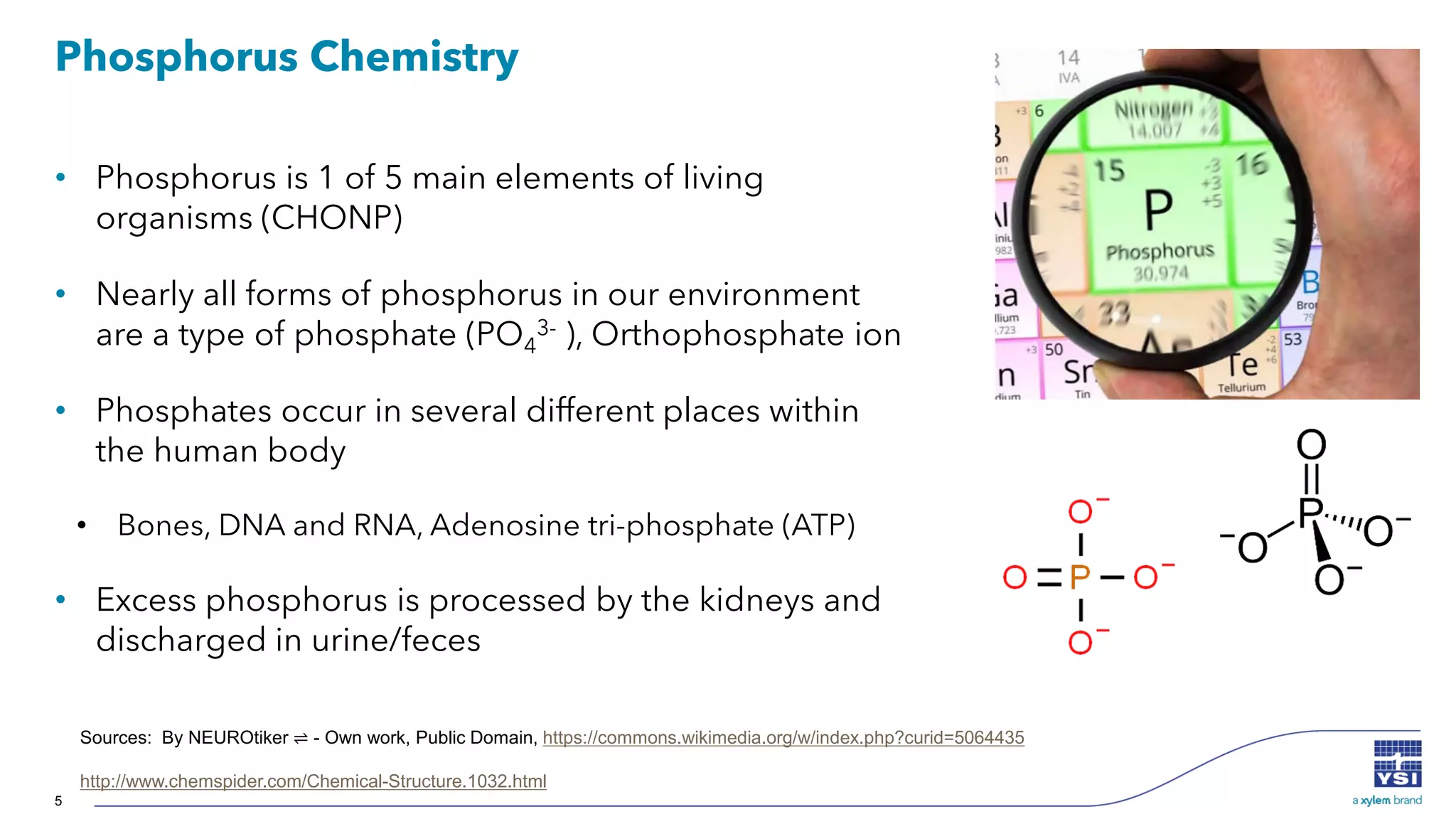 Phosphorus Removal Essentials in wastewater | YSI Webinar | PDF