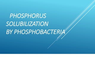 PHOSPHORUS SOLUBILIZATION BY PHOSPHOBACTERIA | PDF