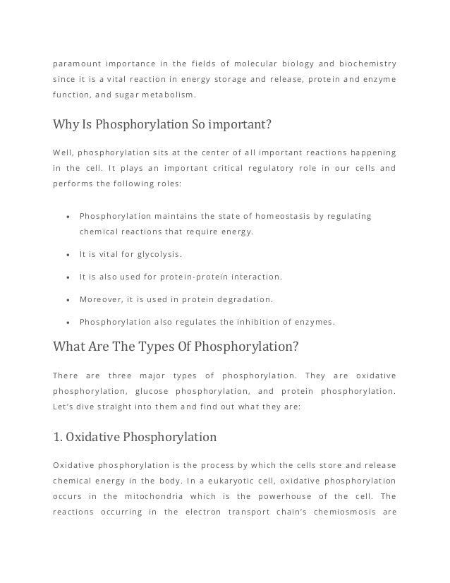 Phosphorylation and Types of Phosphorylation.pdf