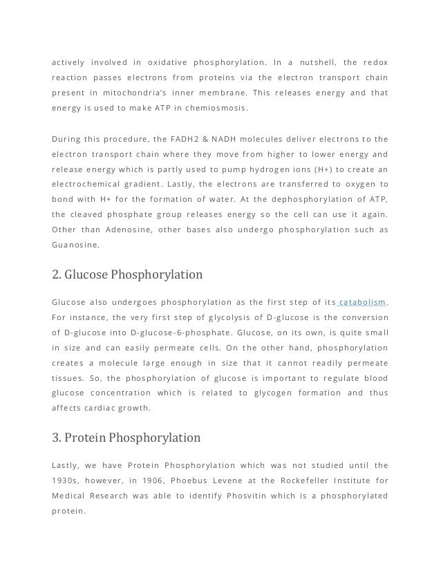 Phosphorylation and Types of Phosphorylation.pdf