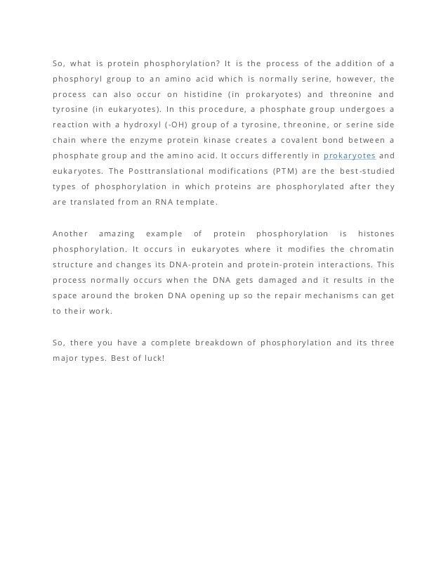 Phosphorylation and Types of Phosphorylation.pdf