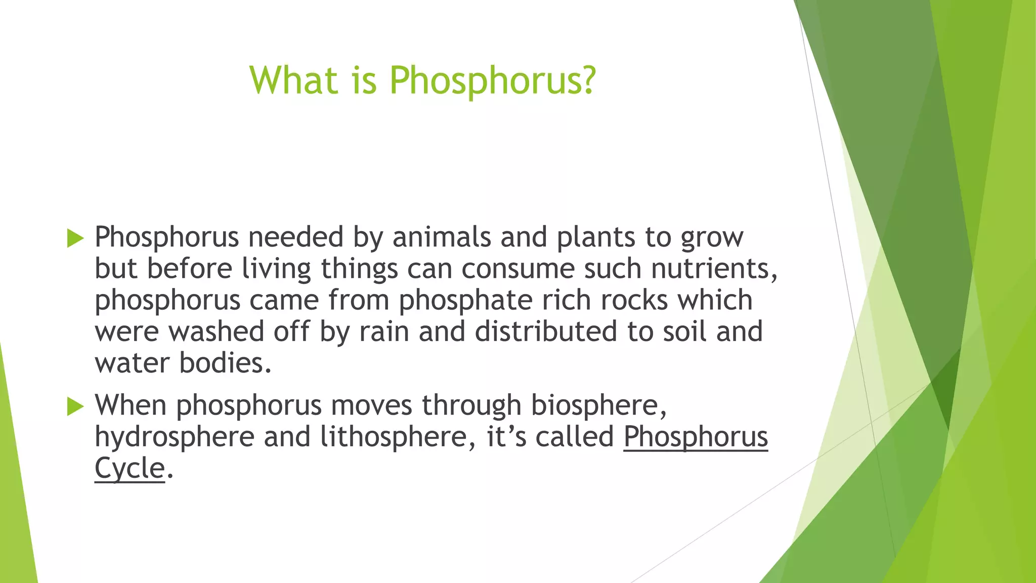 Phosporus Cycle_Kent SG.pptx